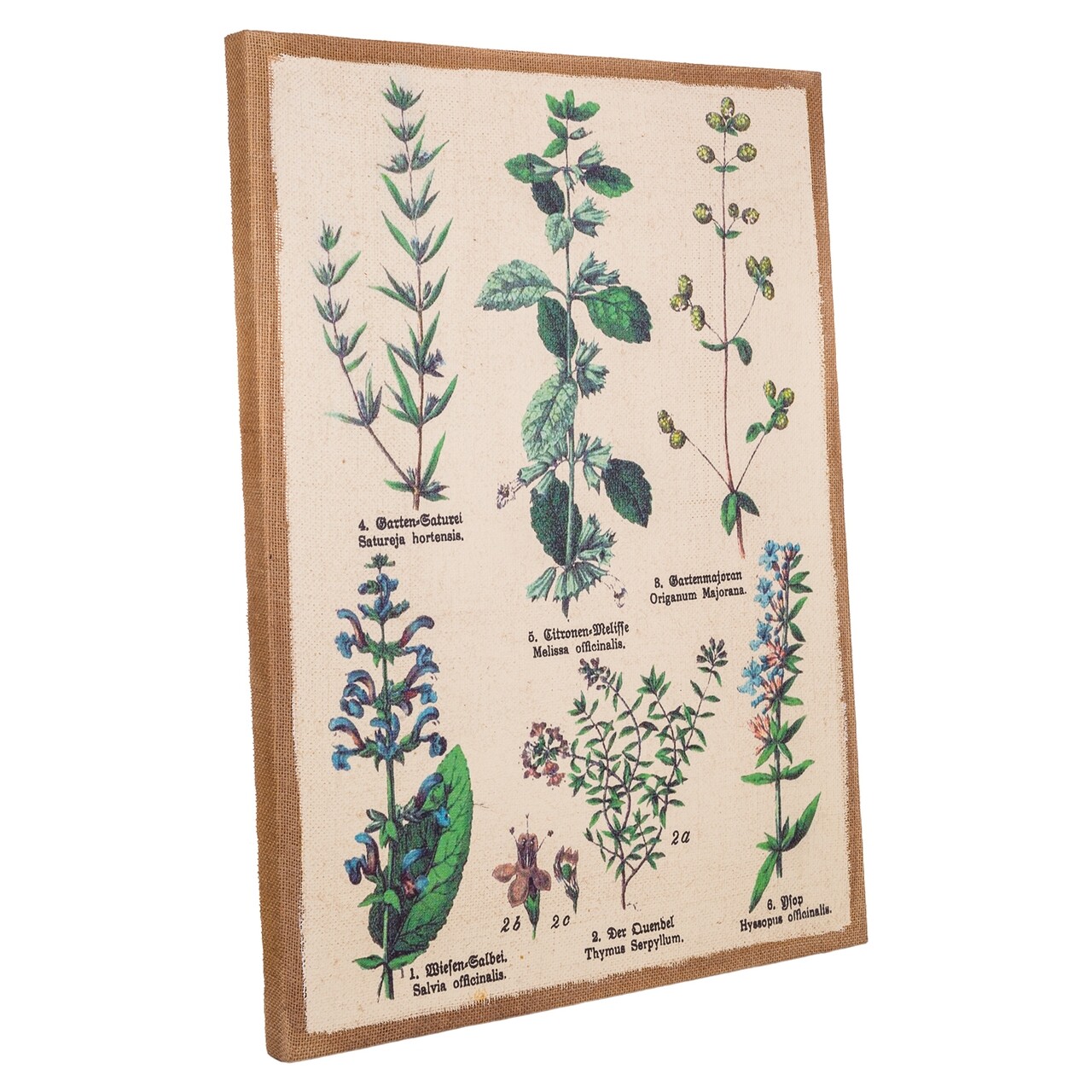 Tablou Plants, Creaciones Meng, iuta/brad chinezesc, 50x70 cm - mezoni.ro